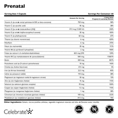 Celebrate_MVI_Prenatal_60ct_Capsule_5f0aeb62-5346-446b-8aa4 ...