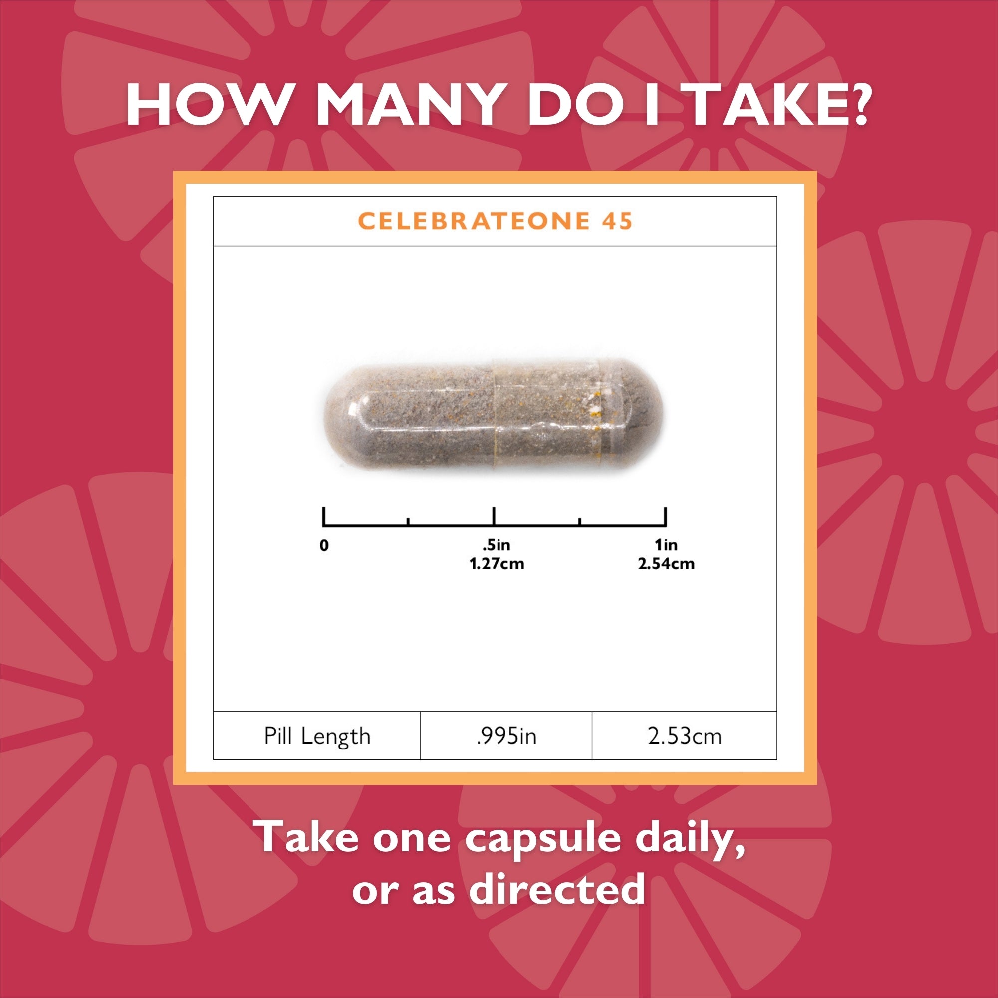 CelebrateONE with 45 mg iron - Capsules - Celebrate